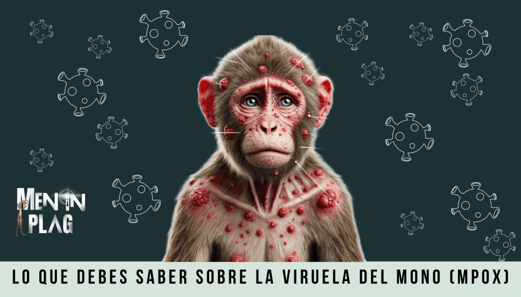 Desratización Profesional Eficaz y Garantizada en Chile | Men In Plag - Control de Ratas ...